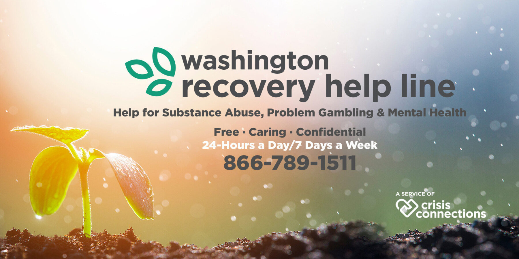The Washington Recovery Help Line - 1.866.789.1511 - Find Support ...